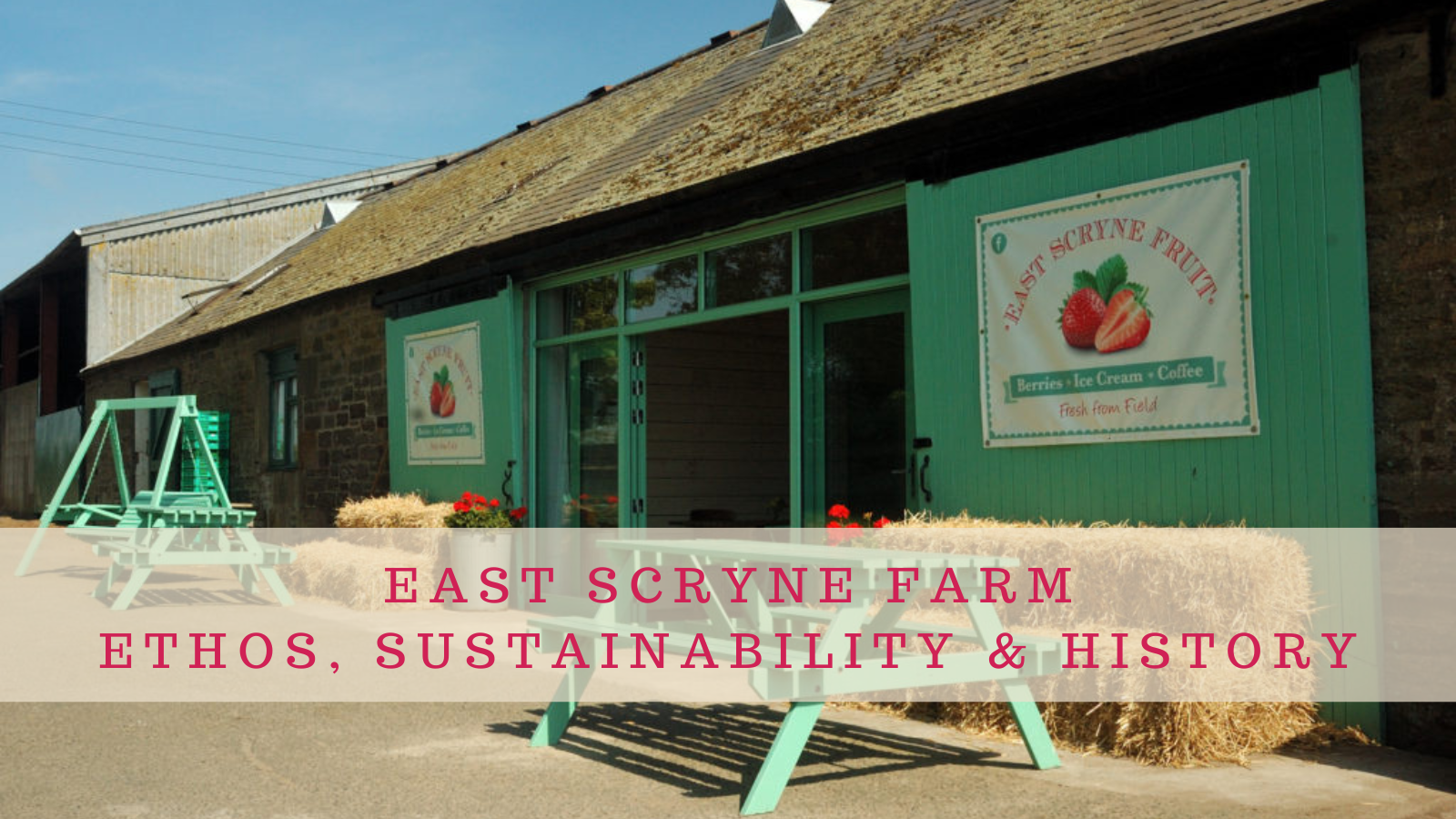 Ethos, Sustainability & History – East Scryne Fruit