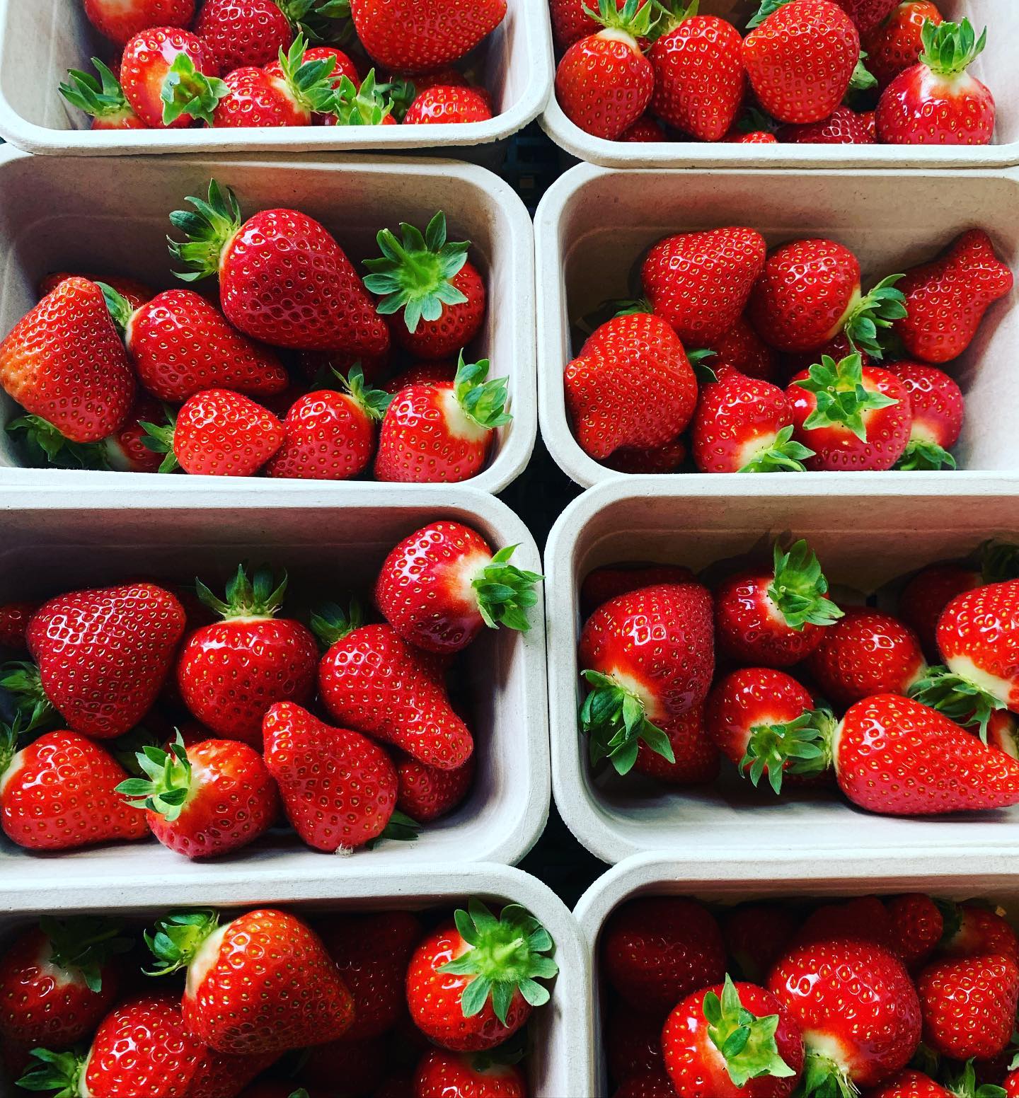 East Scryne Fruit – Fruit farm shop, cafe & playpark